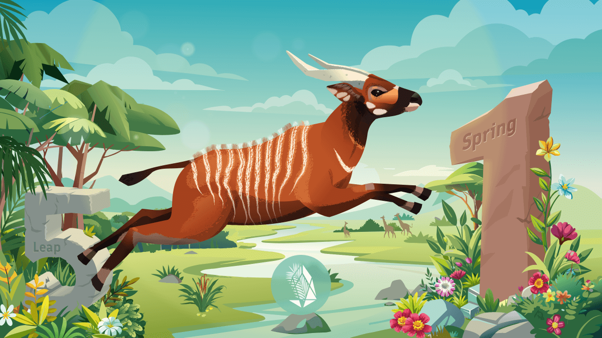 Spring Testnet Bug Bounty on Jungle